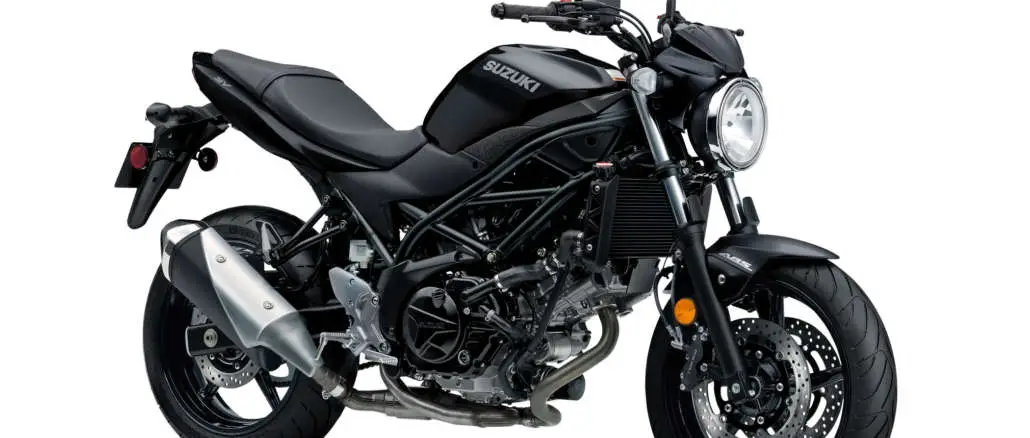 2020 Suzuki SV650 ABS Guide • Total Motorcycle