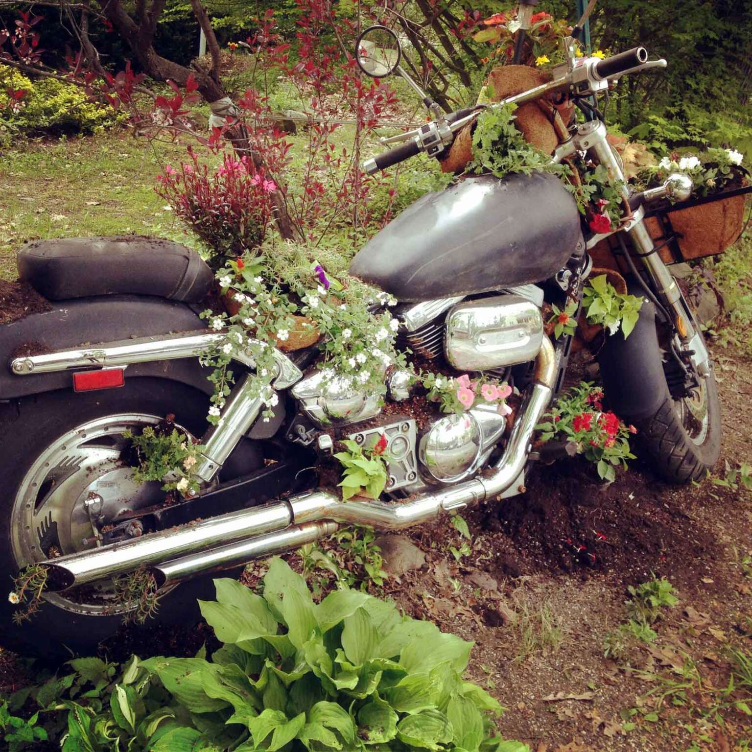 Inspiration Friday: Plant-Based Motorcycles? | Total Motorcycle