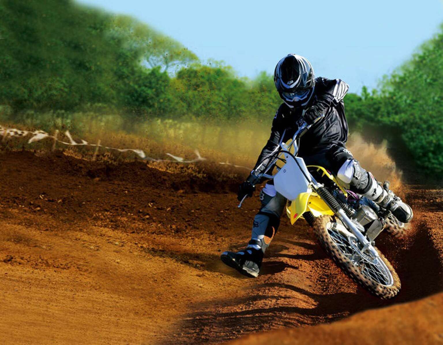 Exciting New 2025 Suzuki Motorcycles Arrive! | Total Motorcycle