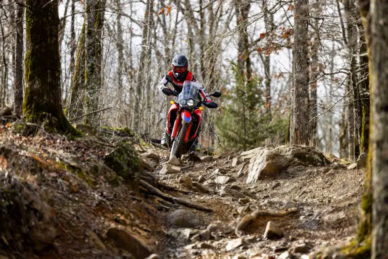 2023 Honda CRF300L Rally ABS Guide | Total Motorcycle