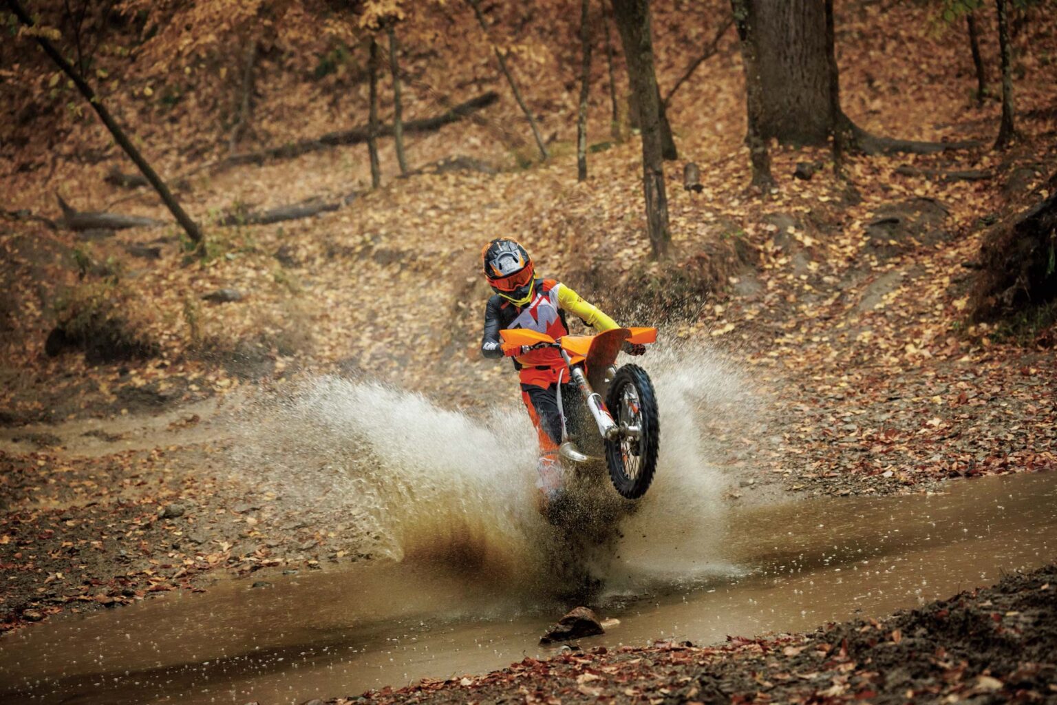 New 2024 KTM Motocross & Enduro Lineup: Go Wild! | Total Motorcycle