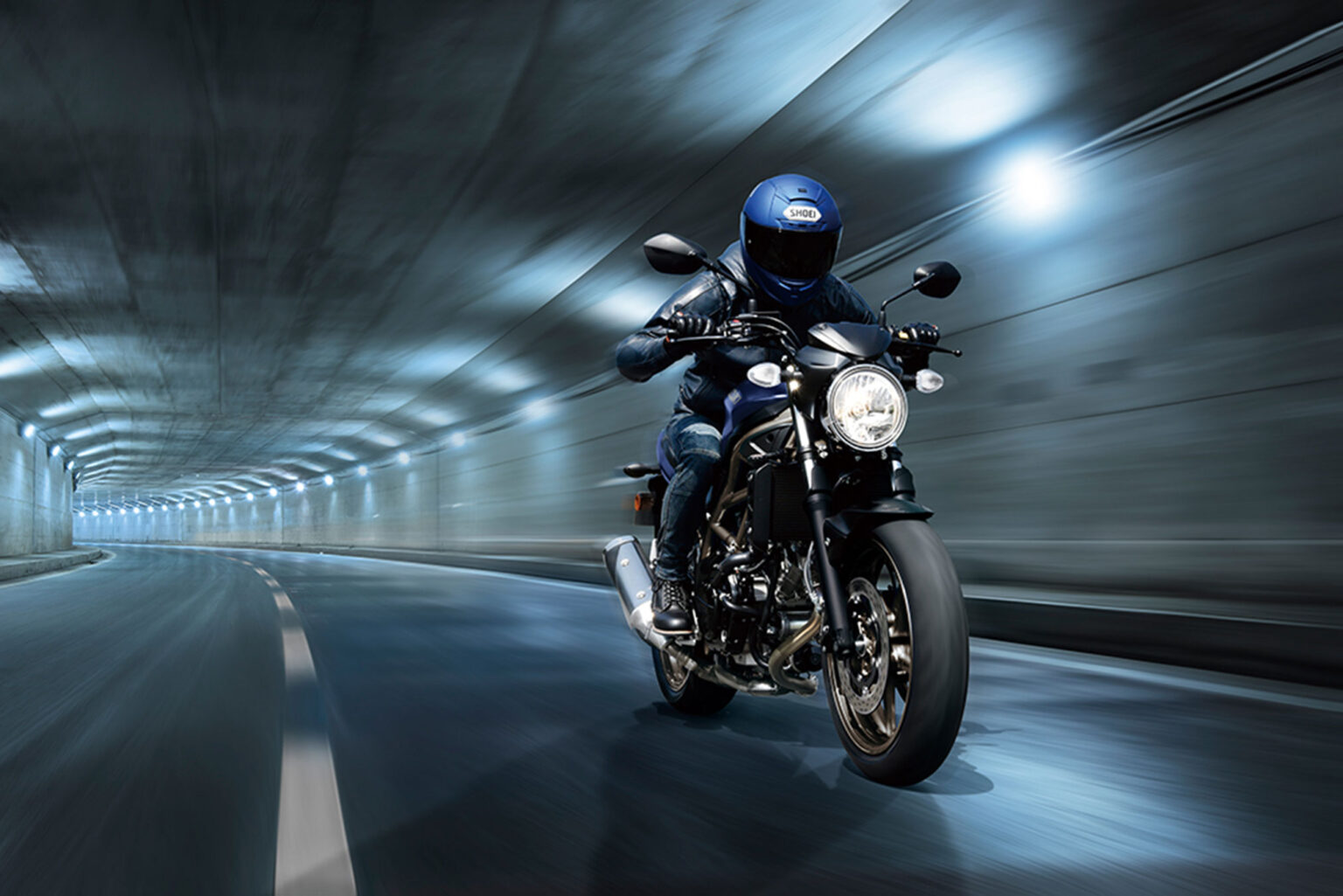 2024 Suzuki SV650 ABS Guide | Total Motorcycle