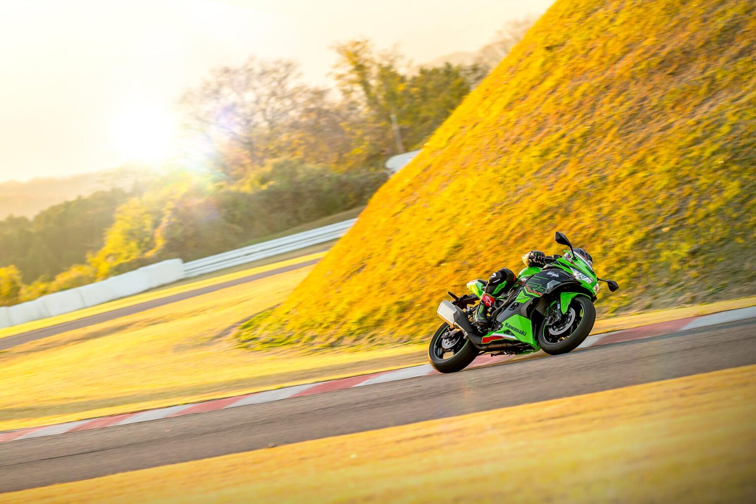 2024 Kawasaki Ninja ZX-4RR Guide | Total Motorcycle
