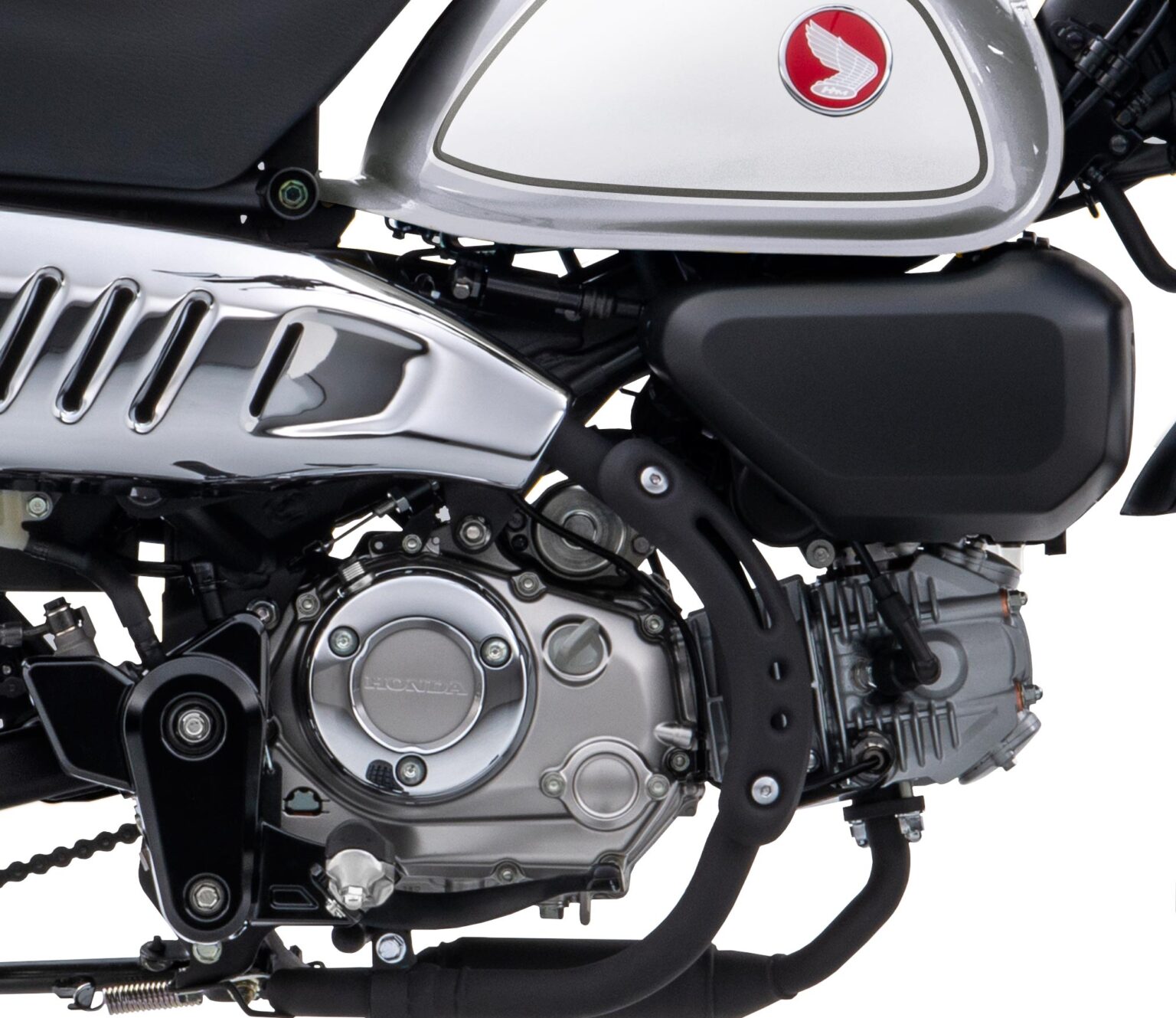 2024 Honda Monkey Guide | Total Motorcycle