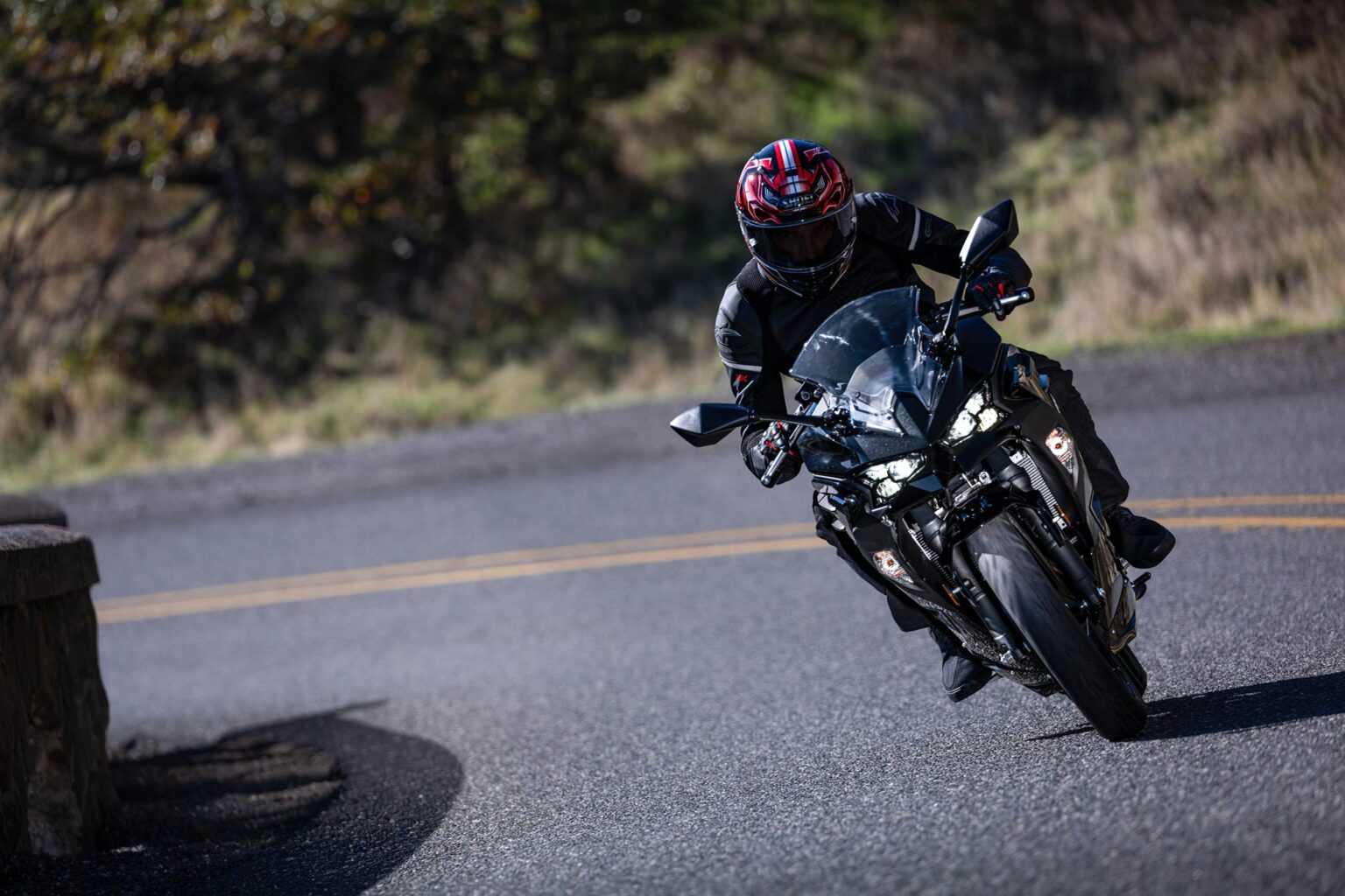 2024 Kawasaki Ninja 500 Guide • Total Motorcycle