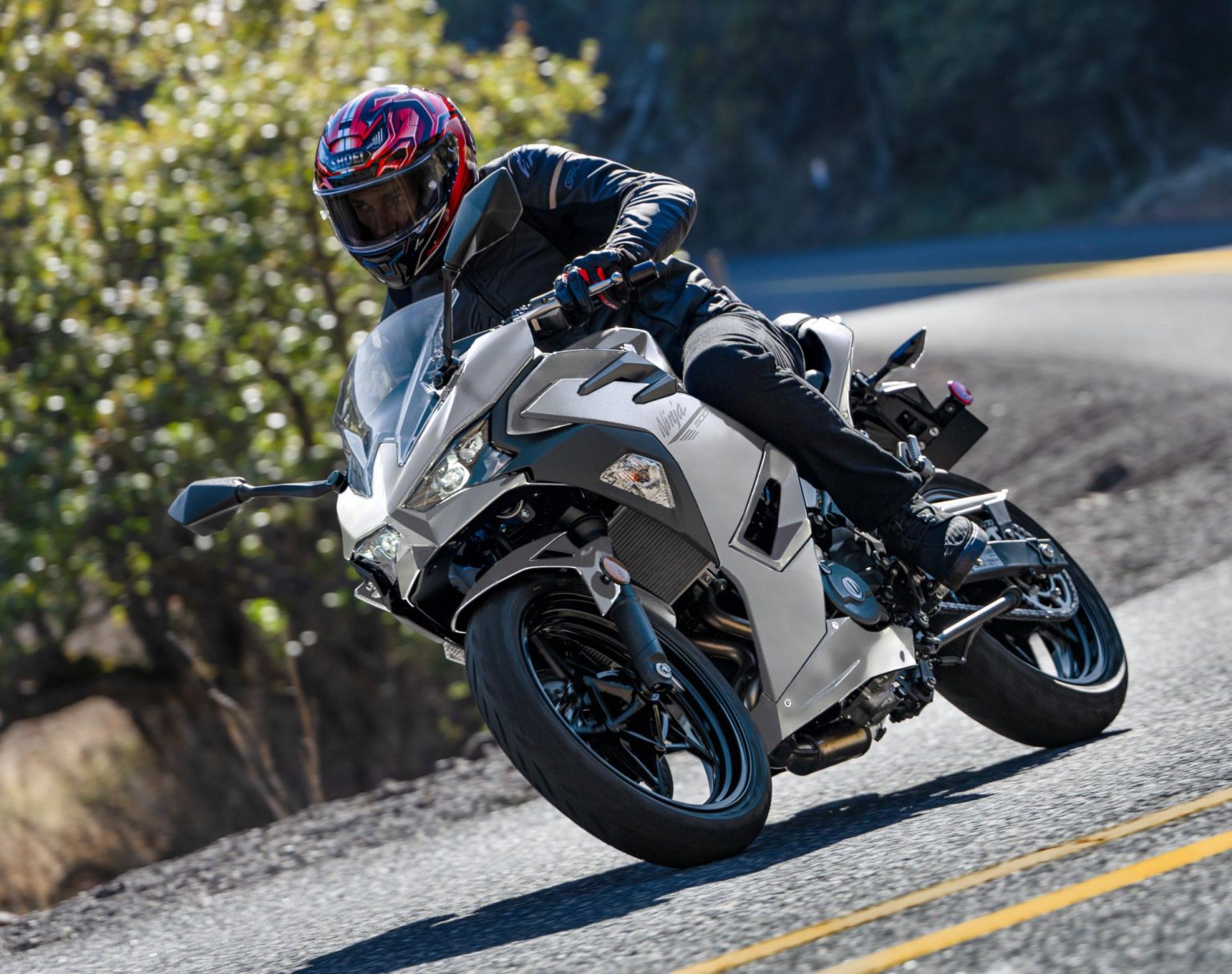 2025 Kawasaki Ninja 500 Guide | Total Motorcycle