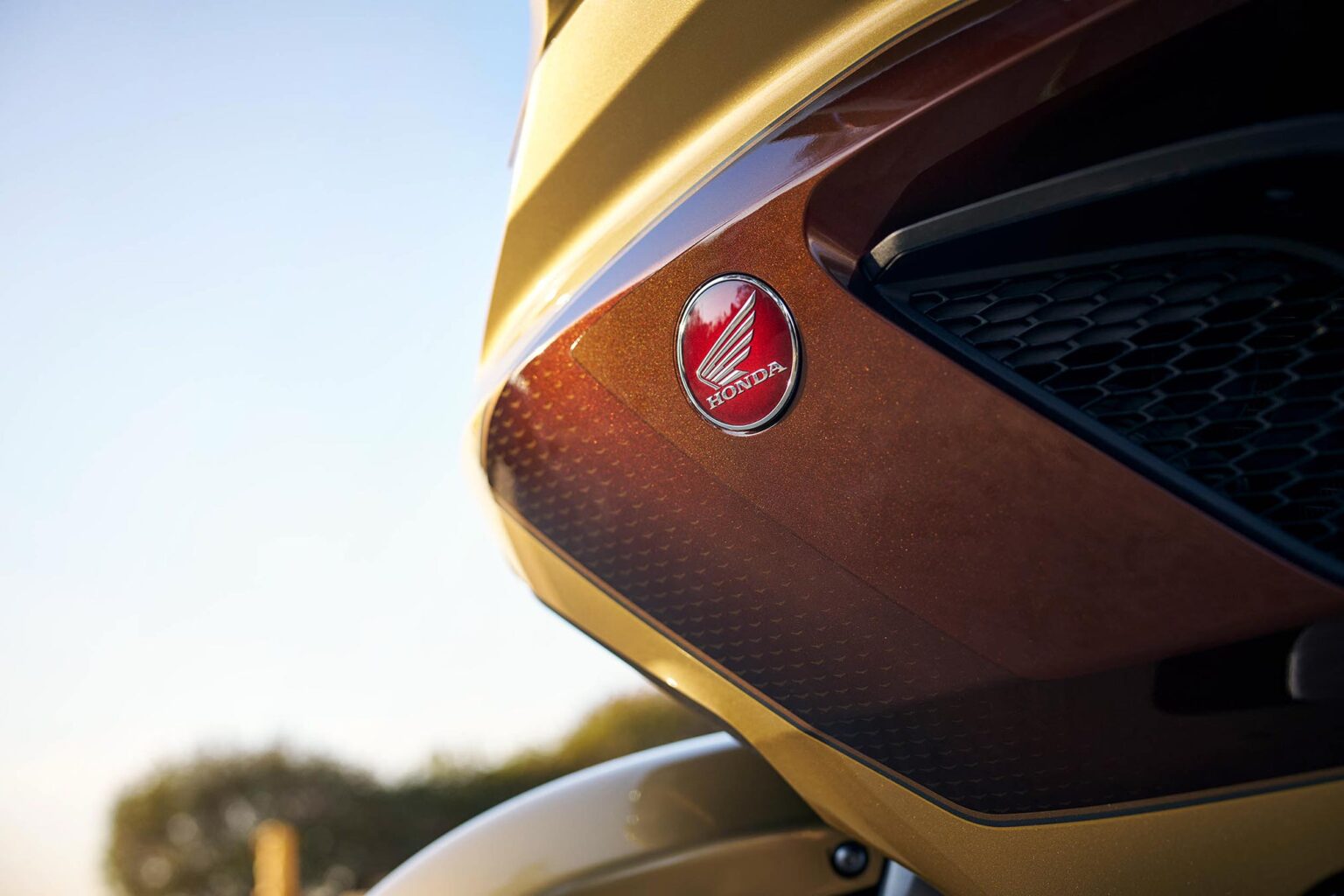 2025 Honda Gold Wing Tour DCT 50th Anniversary Review | Total Motorcycle