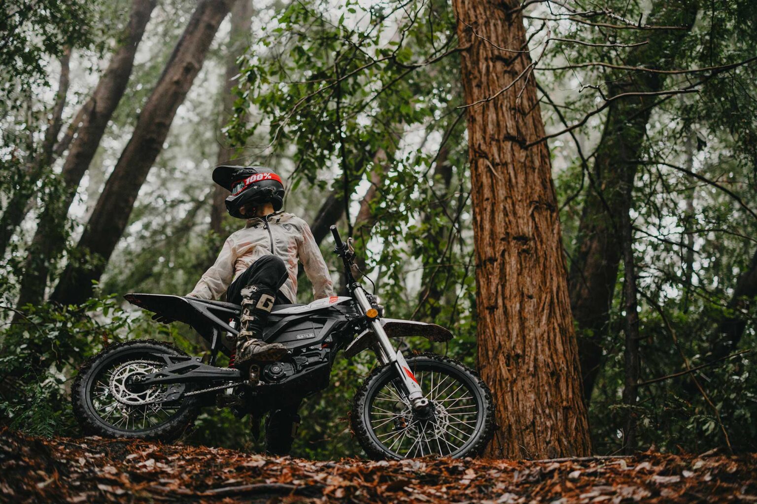 2026 Zero XE Guide | Total Motorcycle