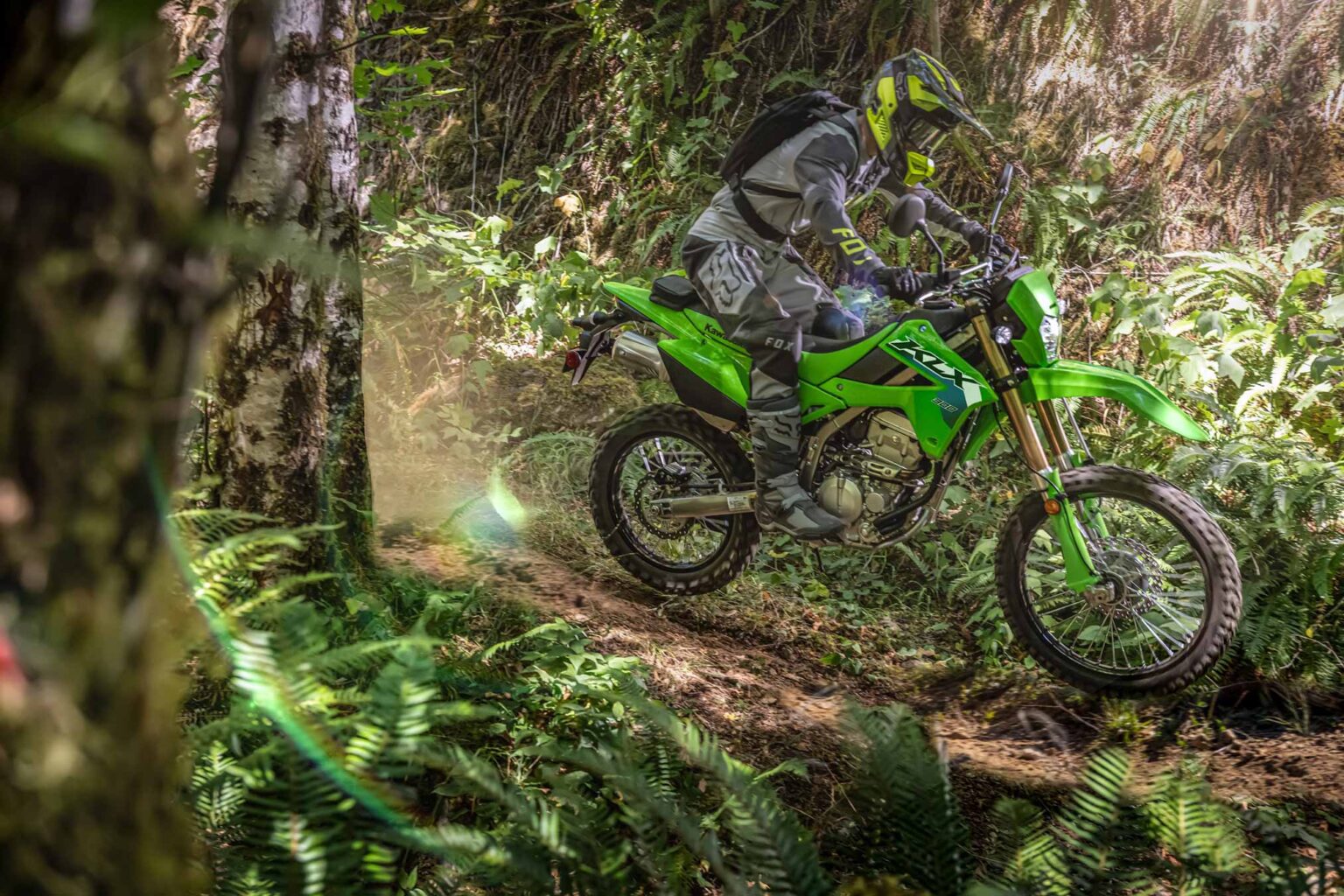 2026 Kawasaki KLX300 Review | Total Motorcycle