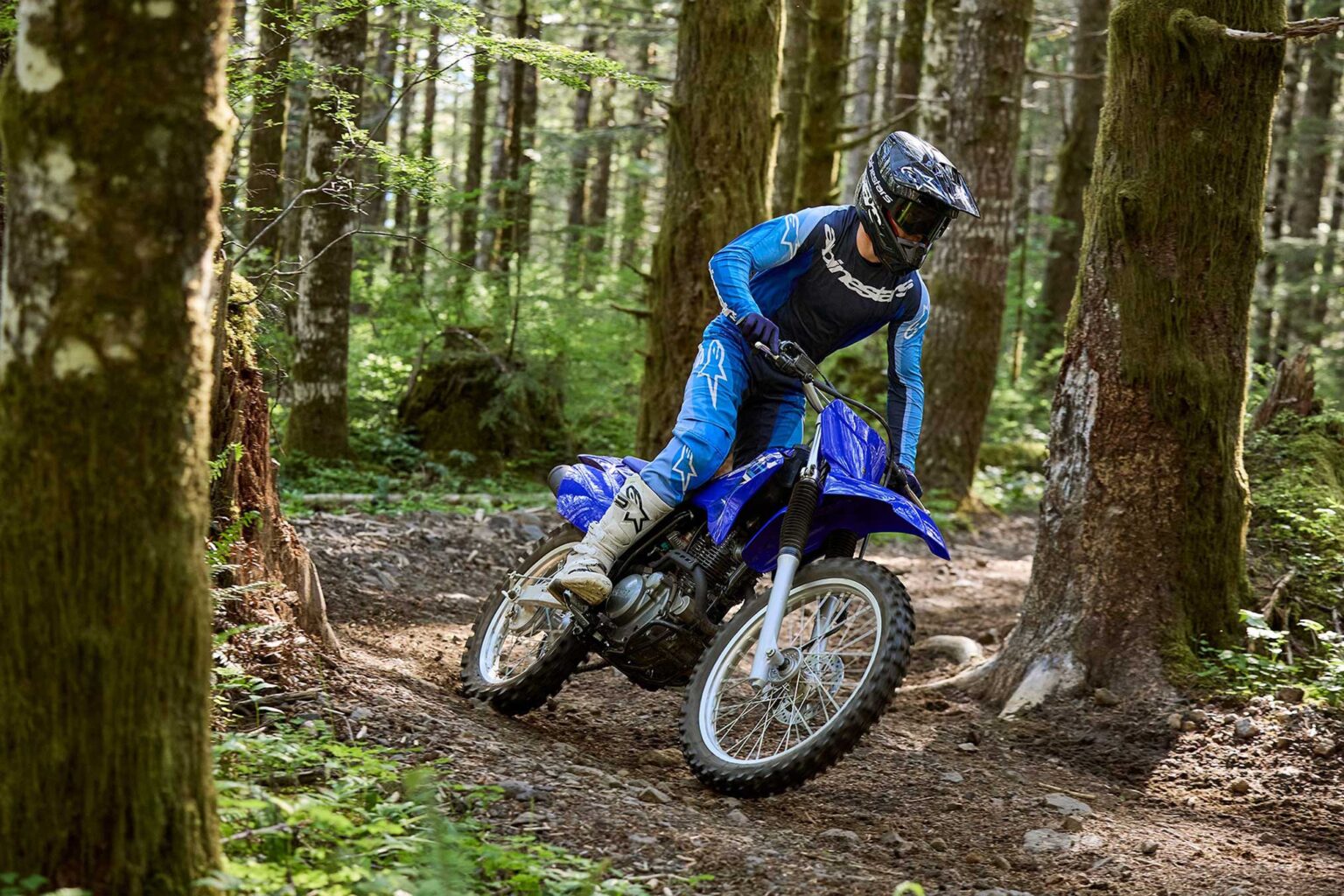 2026 Yamaha TT-R230 Review | Total Motorcycle